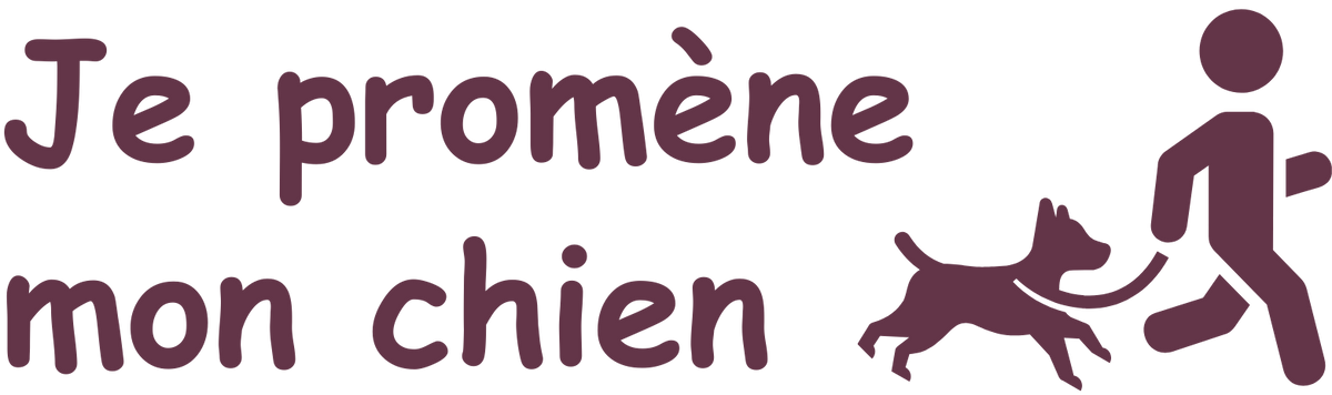 Je Promène Mon Chien